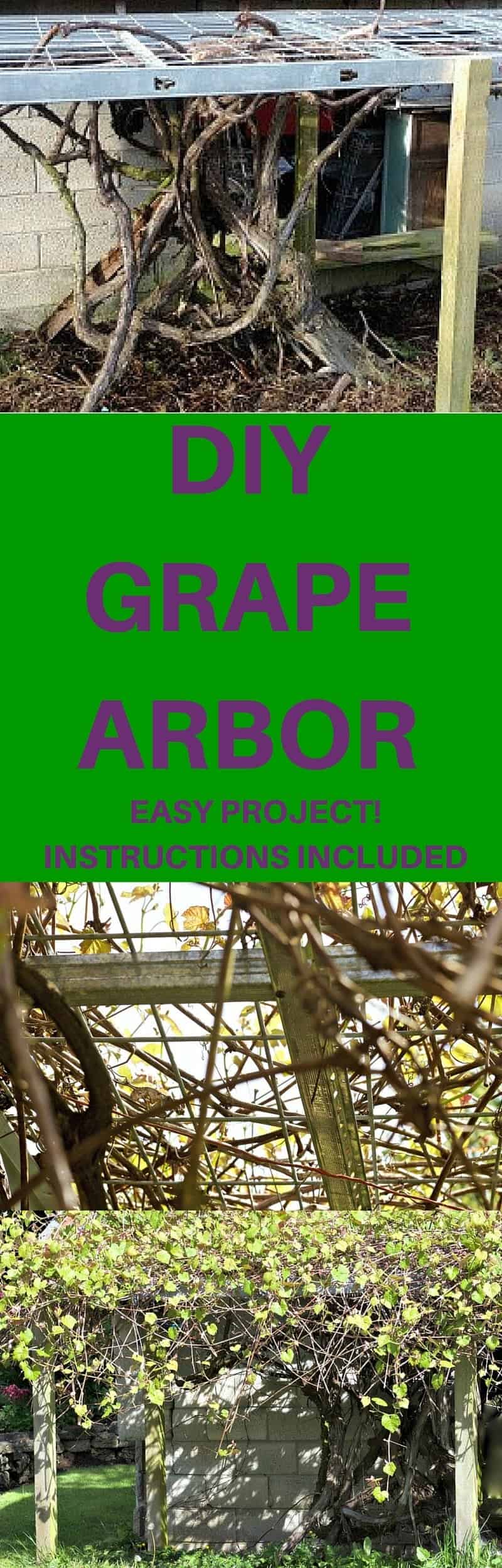 DIY Grape Arbor Tutorial Homemade Food Junkie