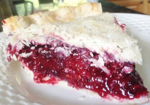 Blackberry Pie with a Coconut Oil Crust | Homemade Food Junkie