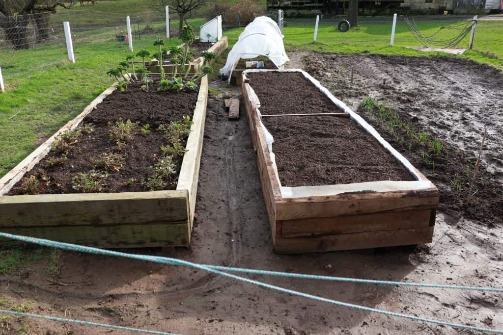 Spring Gardening Projects | Homemade Food Junkie