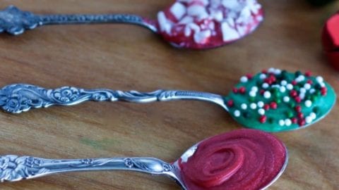 Candy Coated Spoons Food Craft | Homemade Food Junkie