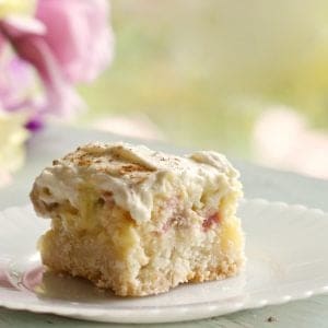 Rhubarb Delight Shortbread Squares | Homemade Food Junkie