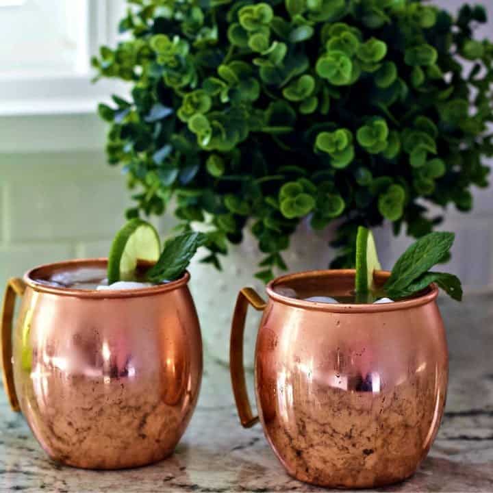 Moscow Mule Vodka Drink Recipe | Homemade Food Junkie