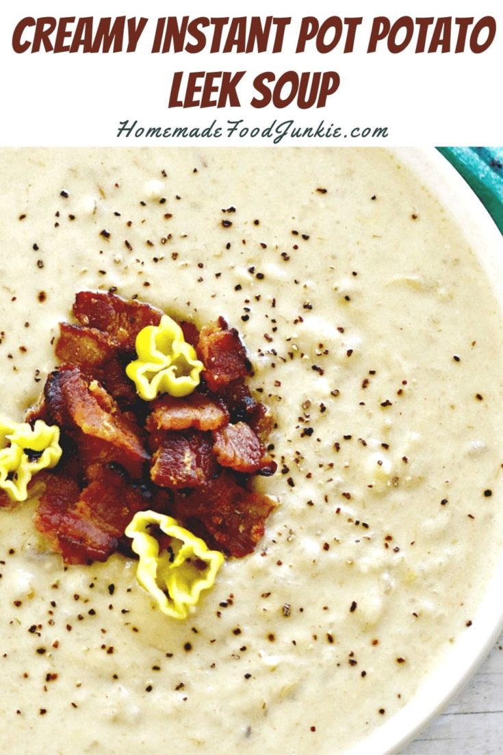 Potato Leek Soup Recipe Homemade Food Junkie