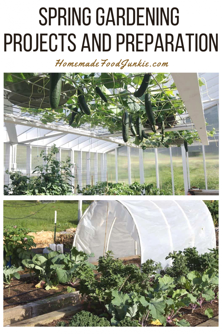 Spring Gardening Projects | Homemade Food Junkie