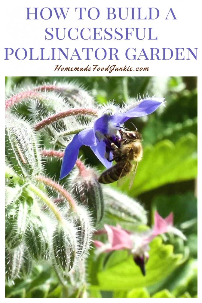 Five Tips For Pollinator Garden Success | Homemade Food Junkie