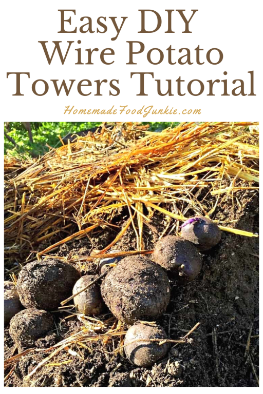 Easy DIY Potato Towers! | Homemade Food Junkie