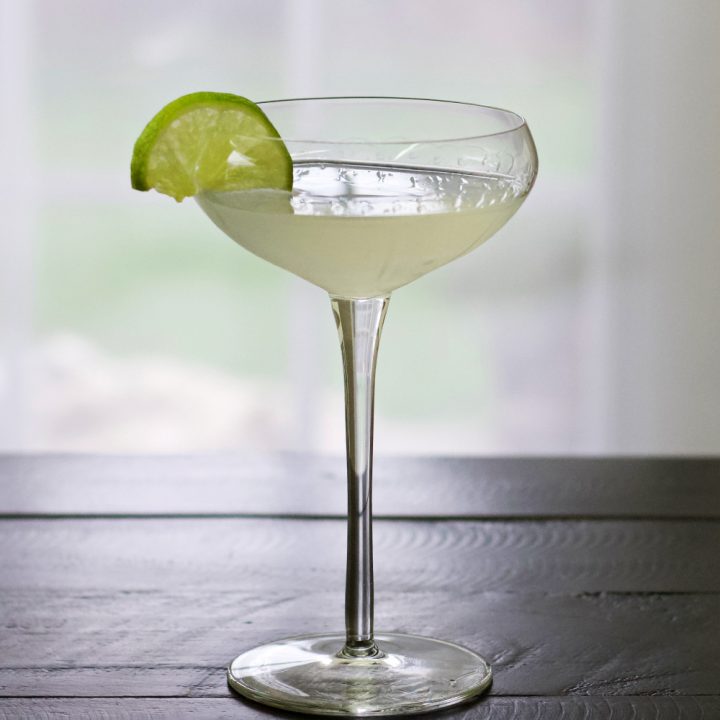 Gin Gimlet Recipe with Lime | Homemade Food Junkie