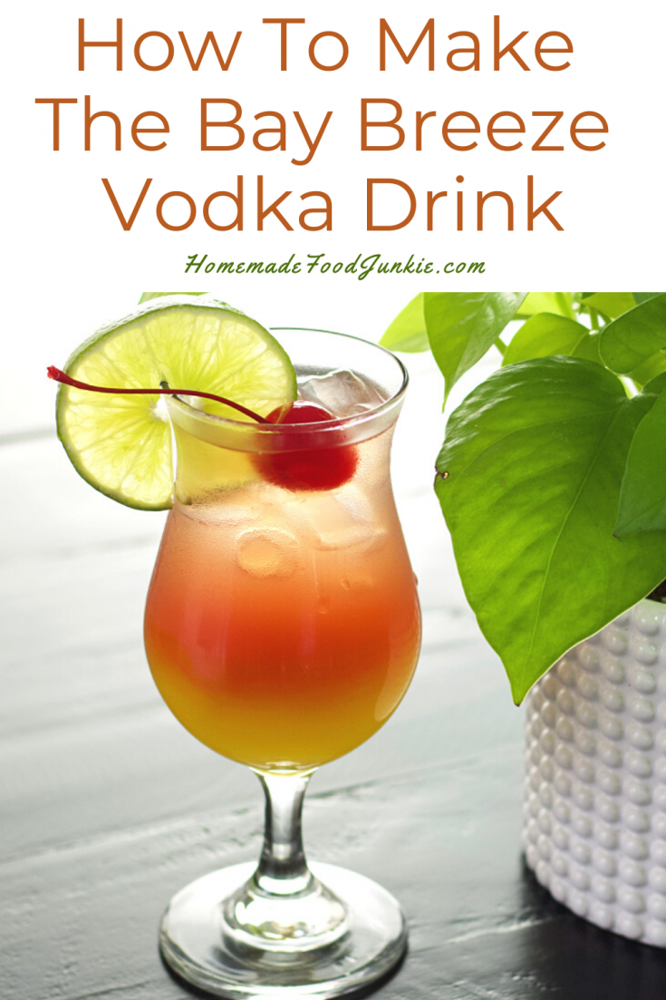 Bay Breeze Drink Recipe with Vodka | Homemade Food Junkie