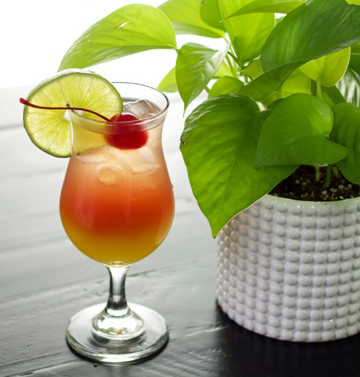 Bay Breeze Drink Recipe with Vodka | Homemade Food Junkie