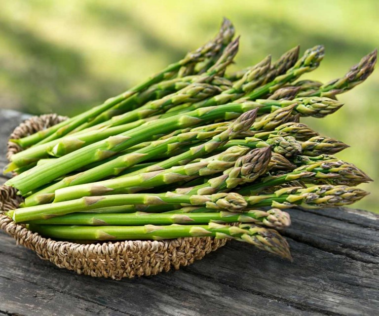 How to Plant Asparagus Plants | Homemade Food Junkie