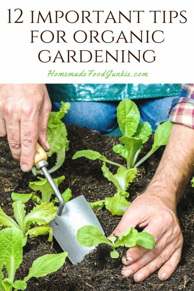 12 Essential Organic Gardening Tips | Homemade Food Junkie