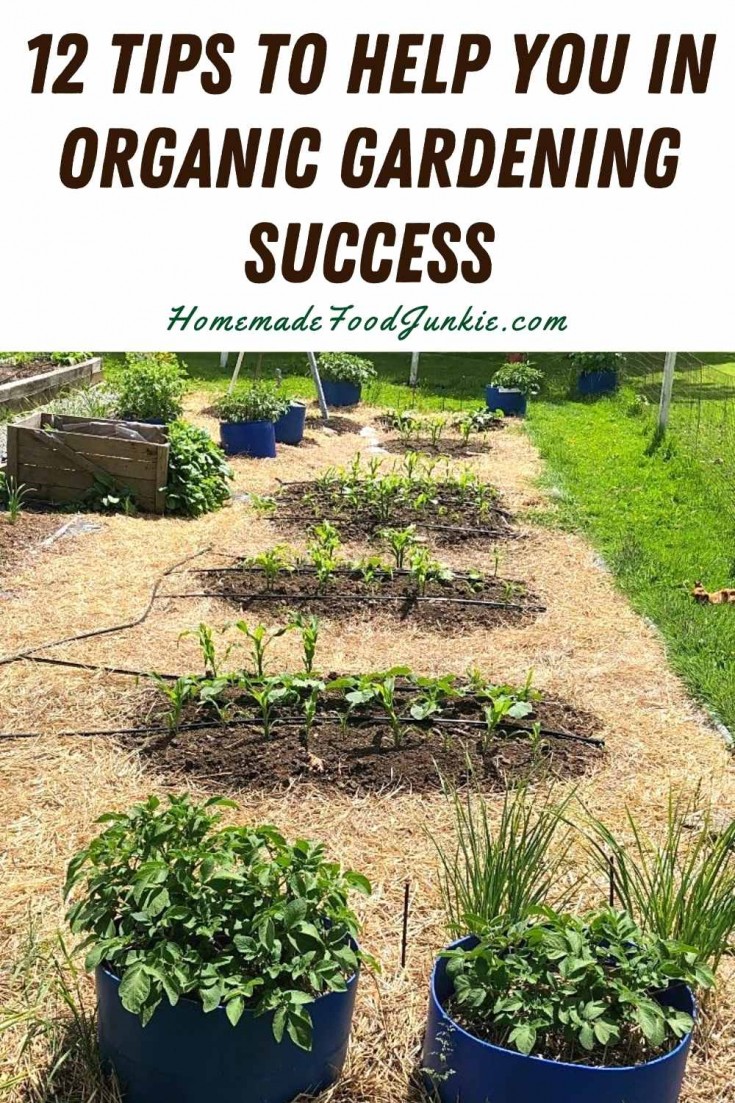 12 Essential Organic Gardening Tips | Homemade Food Junkie