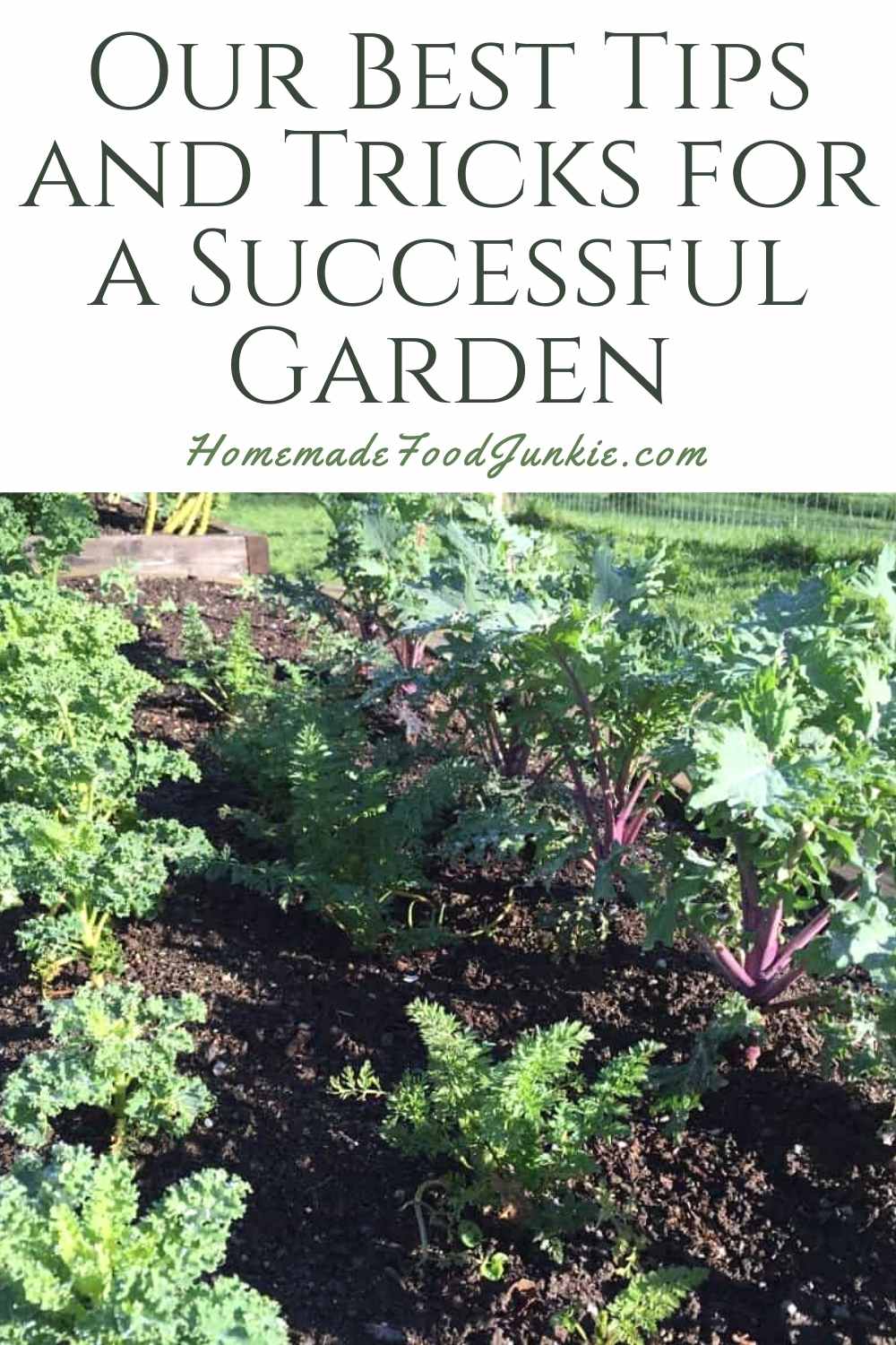 9 Tips For Gardening Success | Homemade Food Junkie