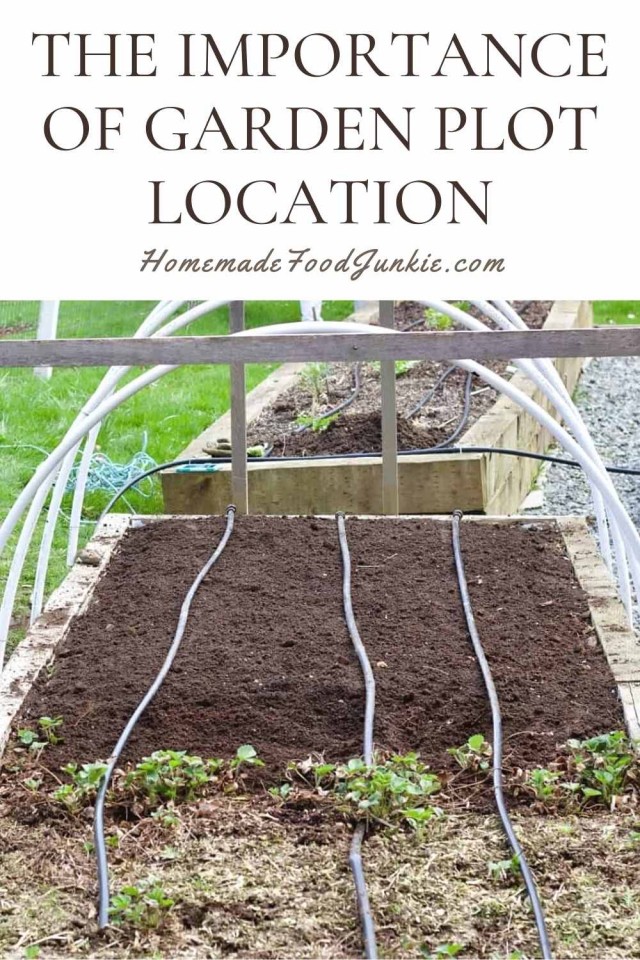 Garden Plot Location Considerations-Homemade Food Junkie