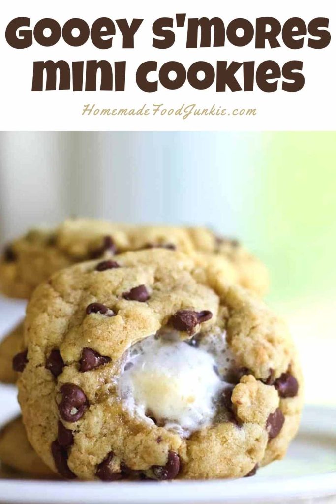Chewy Chocolate Cookies with baking powder Recipe
