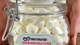 Dehydrated Marshmallows Recipe | Homemade Food Junkie