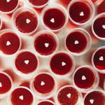 Jello Shots: Why We Love them | Homemade Food Junkie