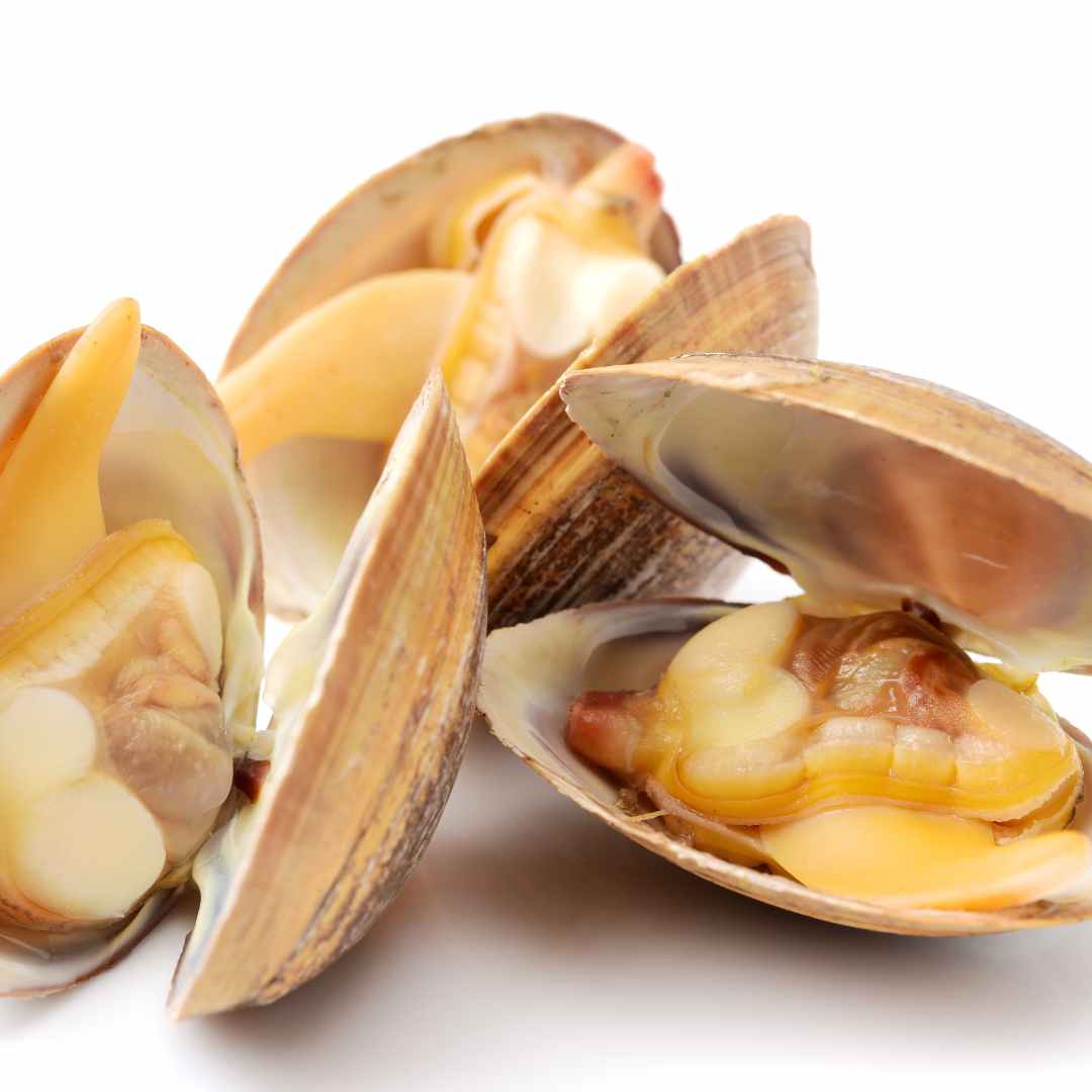 Homemade Clam Chowder | Homemade Food Junkie