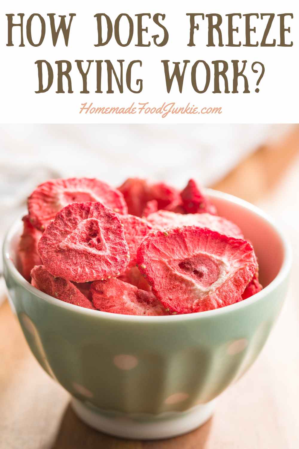 How Does Freeze Drying Work? | Homemade Food Junkie