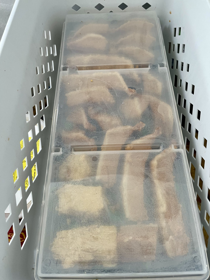 Essential Home Freeze Drying Equipment | Homemade Food Junkie