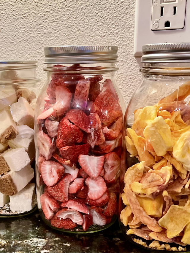 Tips for Freeze Dried Food Storage | Homemade Food Junkie