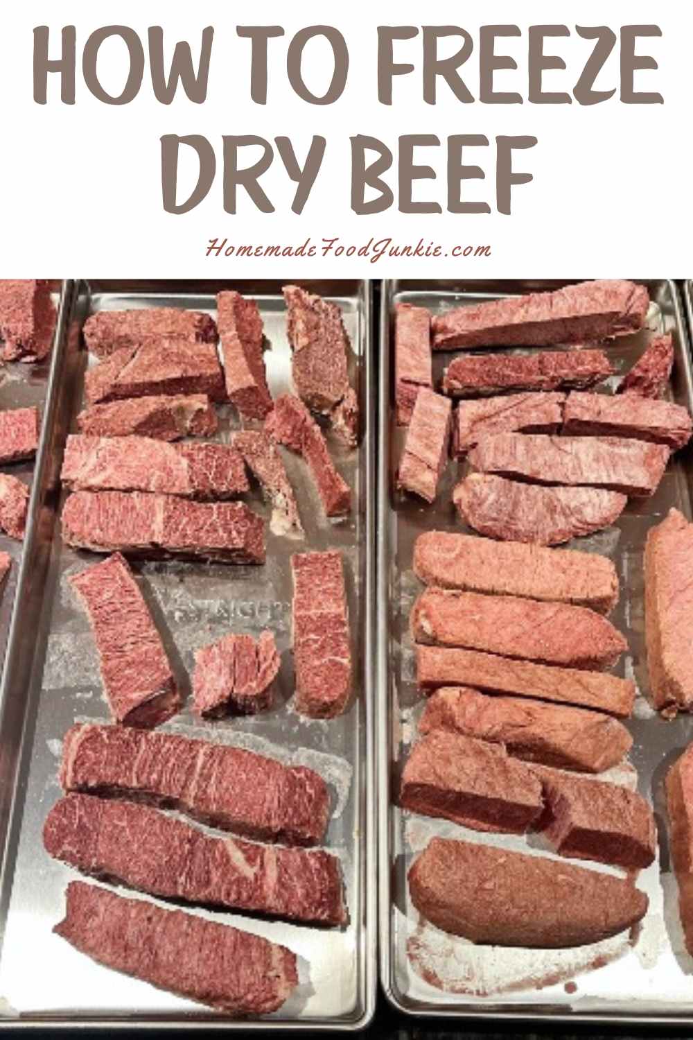 How to Freeze Dry Beef: A Simple Guide | Homemade Food Junkie