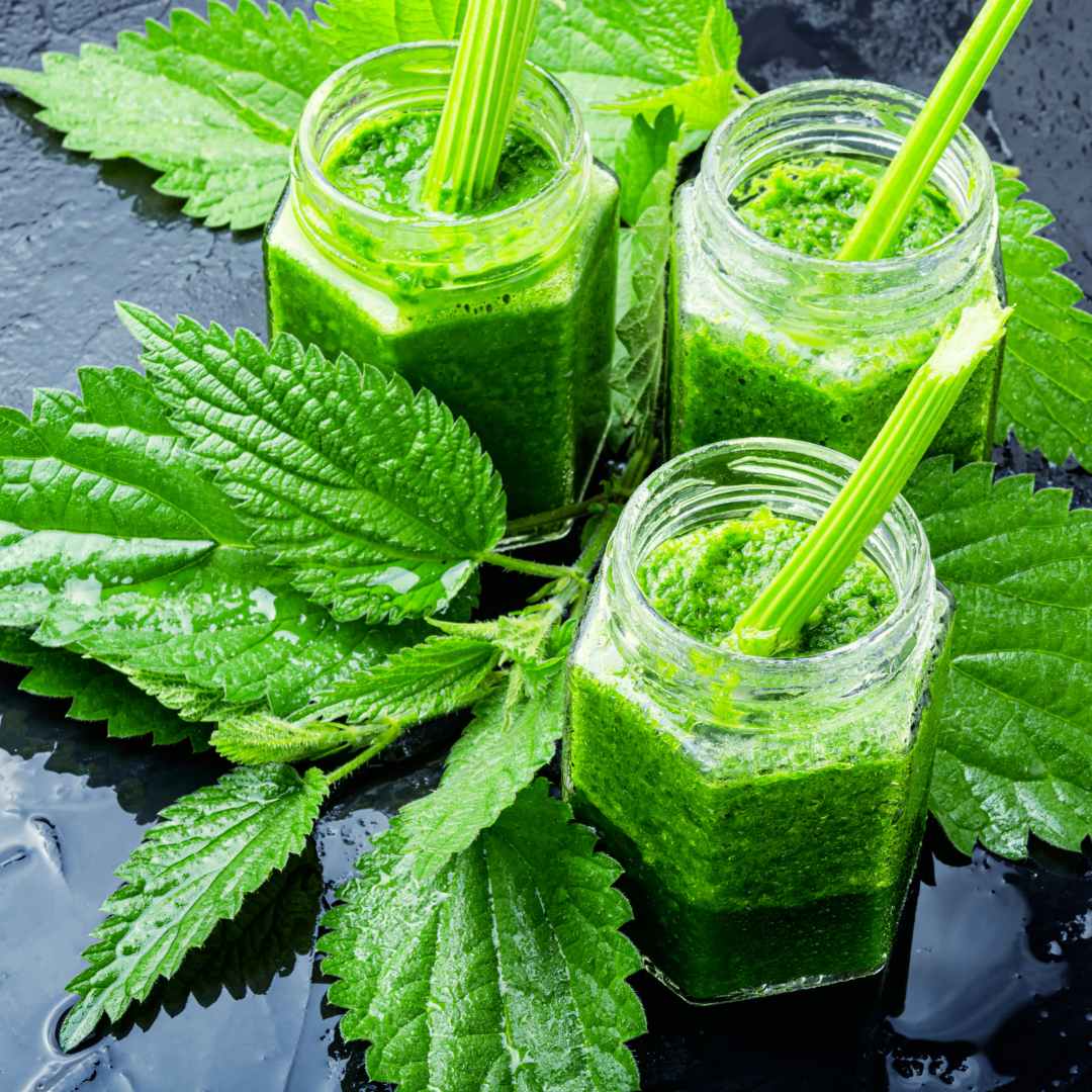Delicious Fresh Nettle Juice | Homemade Food Junkie