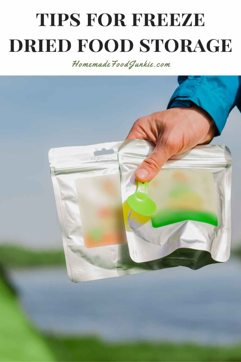 Tips For Freeze Dried Food Storage | Homemade Food Junkie