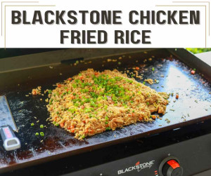 Best Blackstone Smash Burger Recipe | Homemade Food Junkie