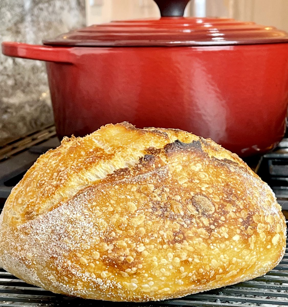 Cold Proof vs Cold Bulk Sourdough: Long Cold Rise Method Explained ...
