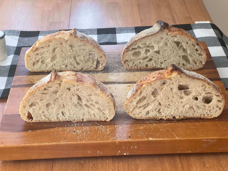 How to Read Sourdough Crumb Structure | Homemade Food Junkie