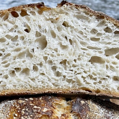 How to Read Sourdough Crumb Structure | Homemade Food Junkie