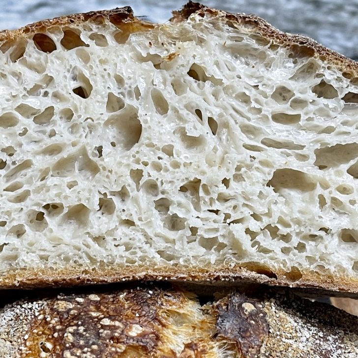 How to Read Sourdough Crumb Structure | Homemade Food Junkie